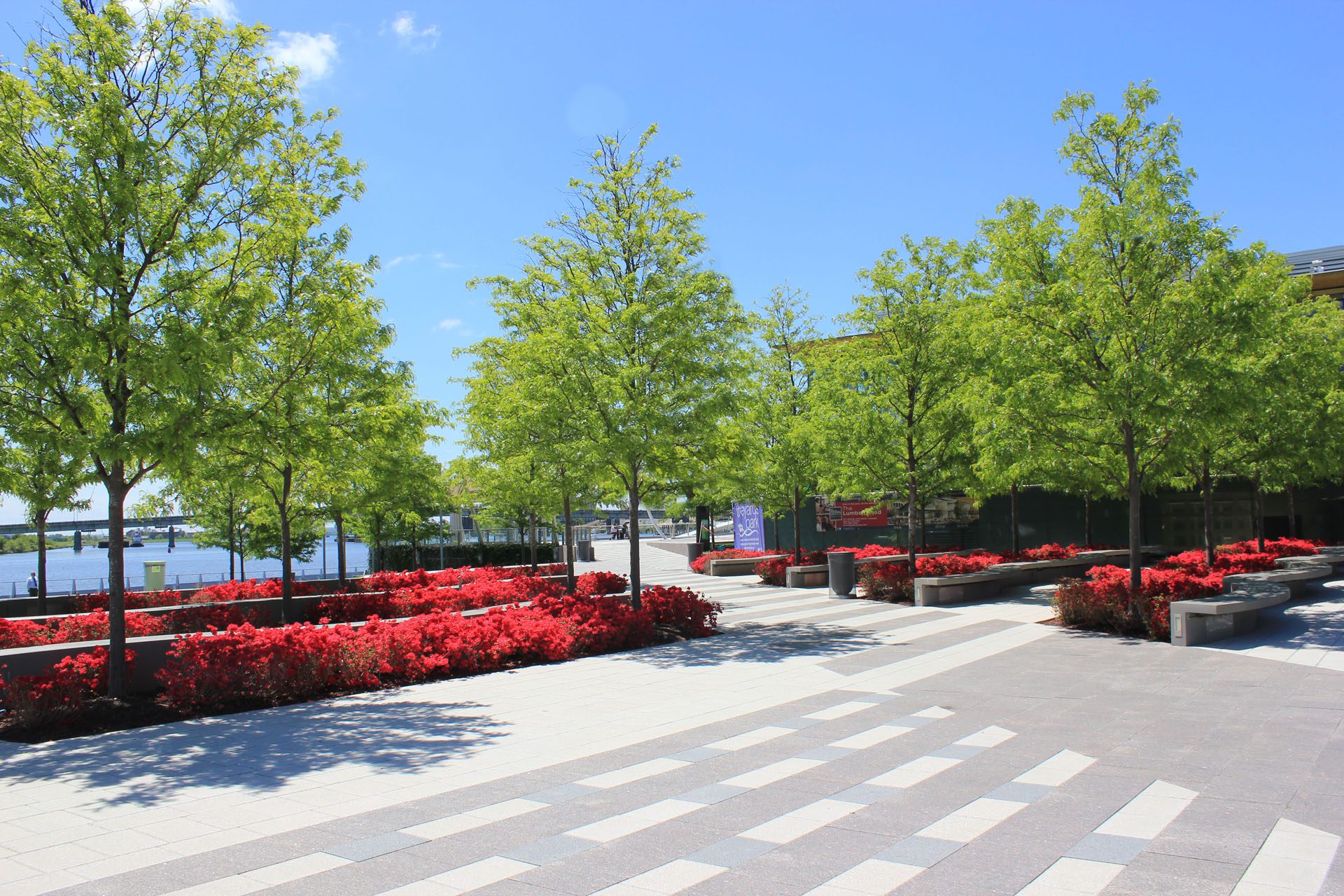 Waterfront Park at the Yards - Ruppert Landscape