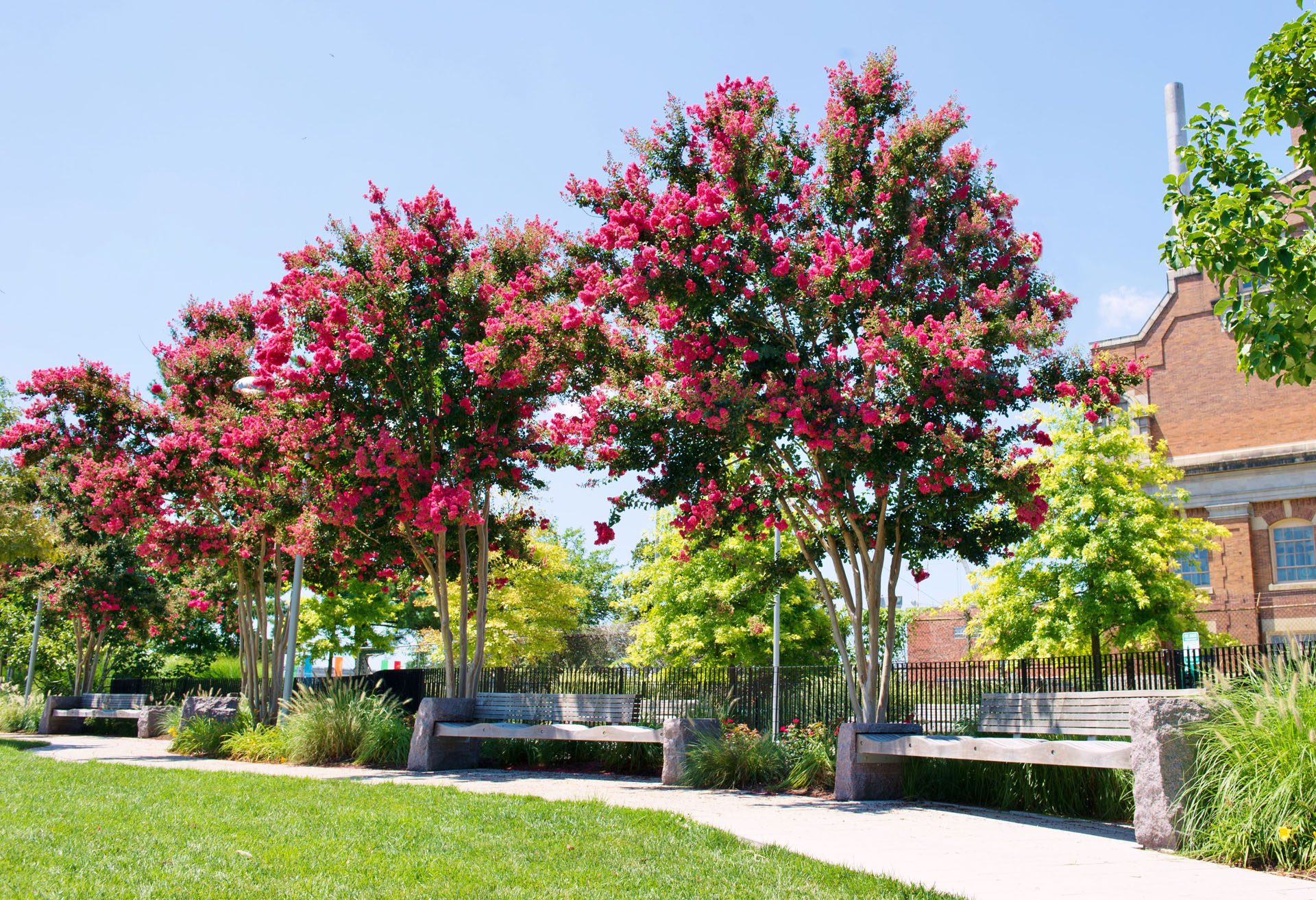 Waterfront Park at the Yards - Ruppert Landscape