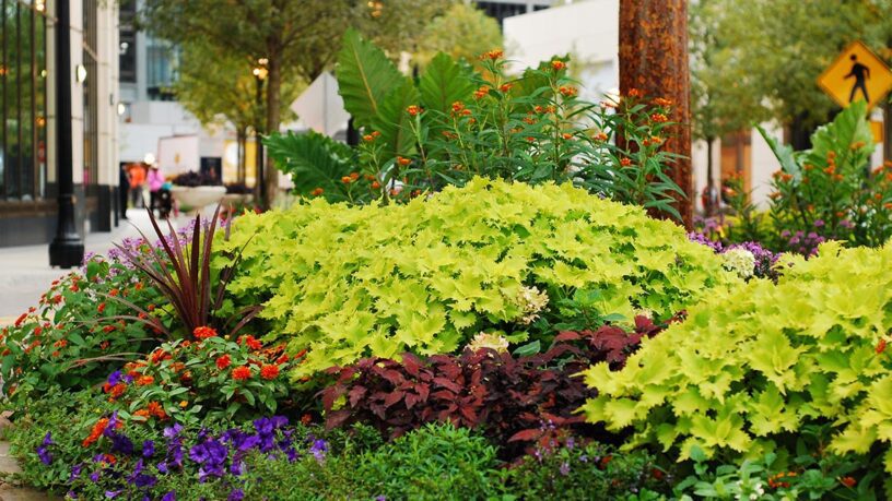 Locations Archive - Ruppert Landscape