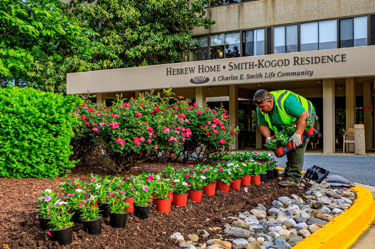 Landscape Design & Enhancements - Ruppert Landscape