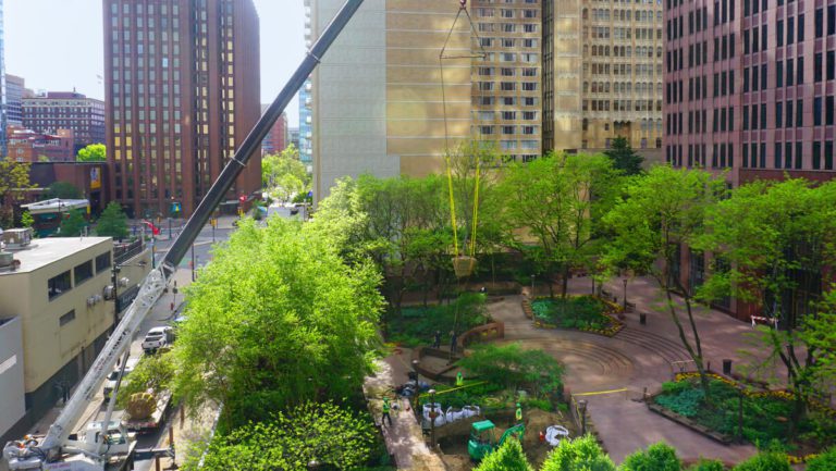 Commercial Landscaping Services - Ruppert Landscape