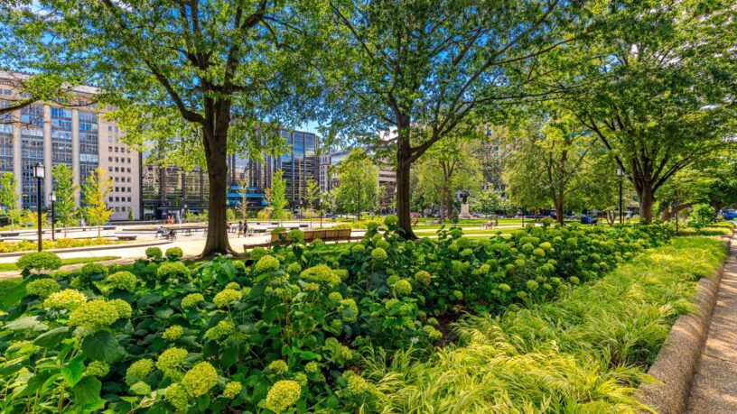 Orlando, FL - Ruppert Landscape