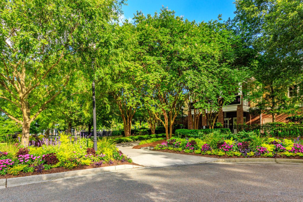 Horticulture Highlights: Plant Trends for 2026 - Ruppert Landscape